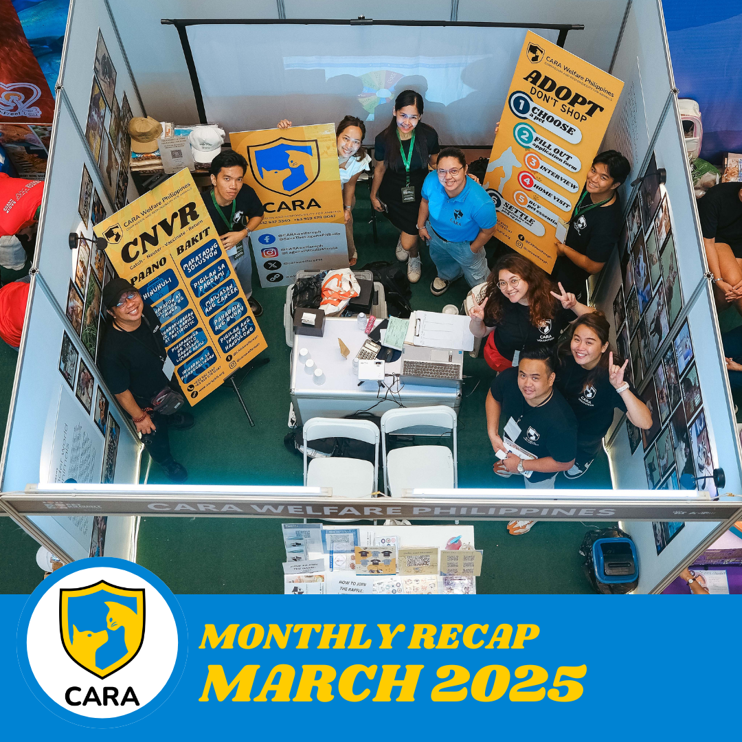 CARA’s Jam-packed March - CARA Welfare Philippines