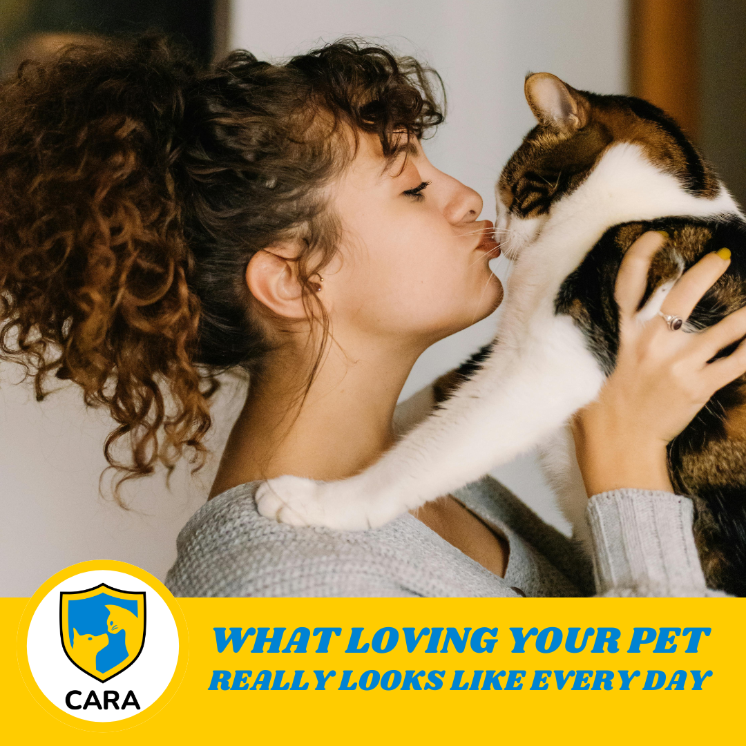 What Loving Your Pet Really Looks Like Every Day - CARA Welfare Philippines